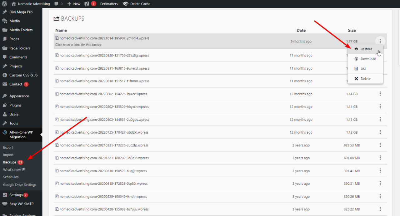 How To Restore A Wordpress Backup Using All In One Wp Migration Plugin Nomadic Advertising